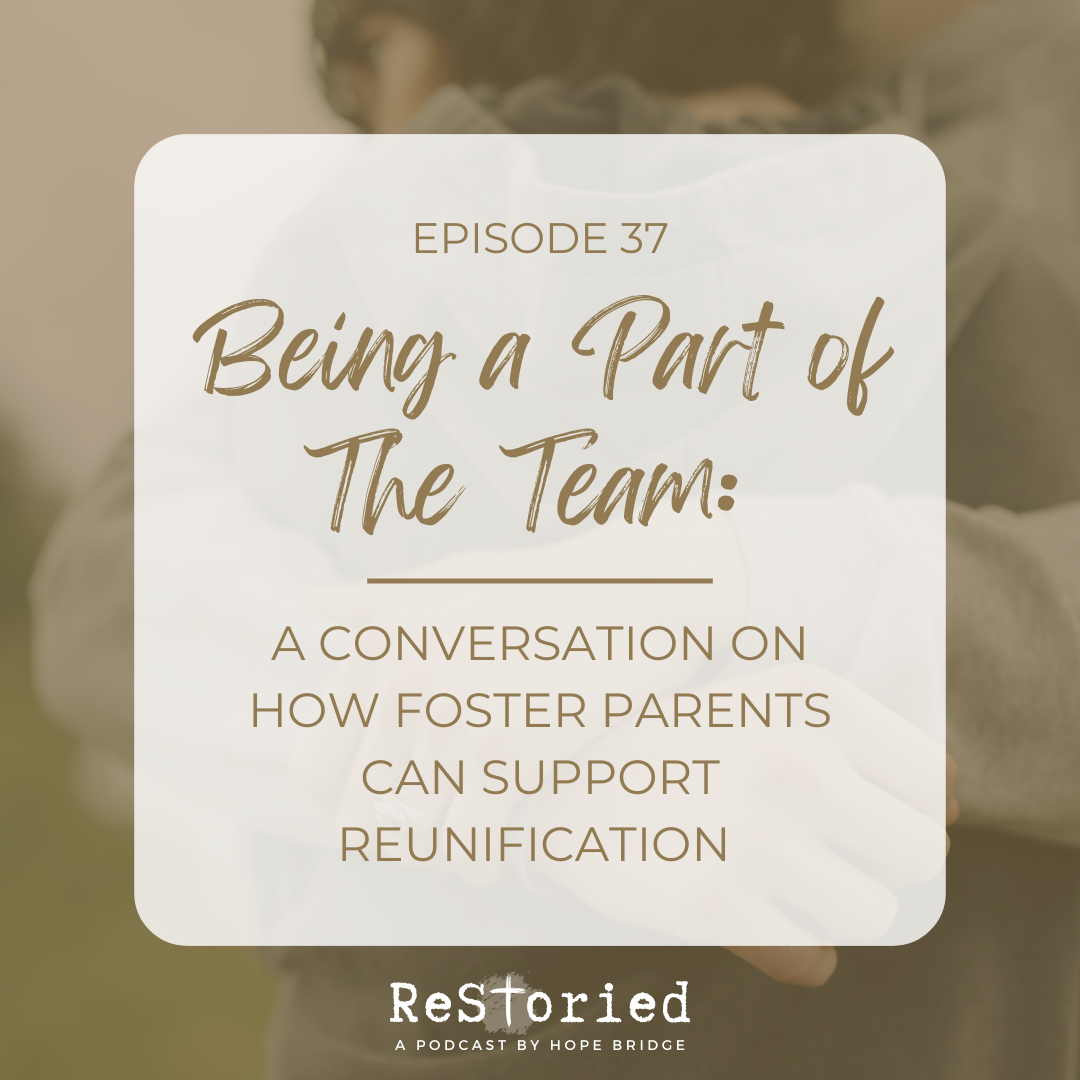 37. Being a Part of The Team: A Conversation on How Foster Parents Can ...