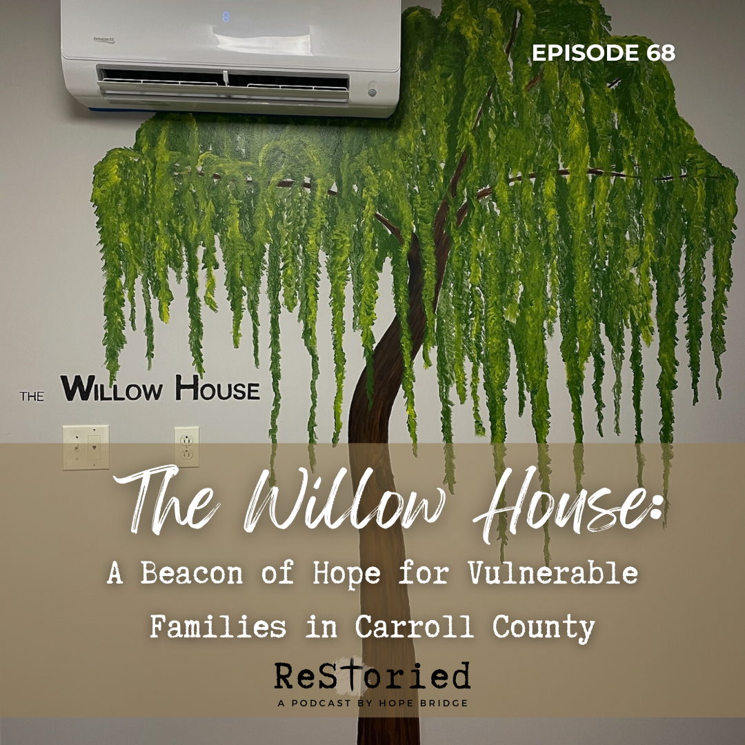 68. The Willow House: A Beacon of Hope for Vulnerable Families in ...